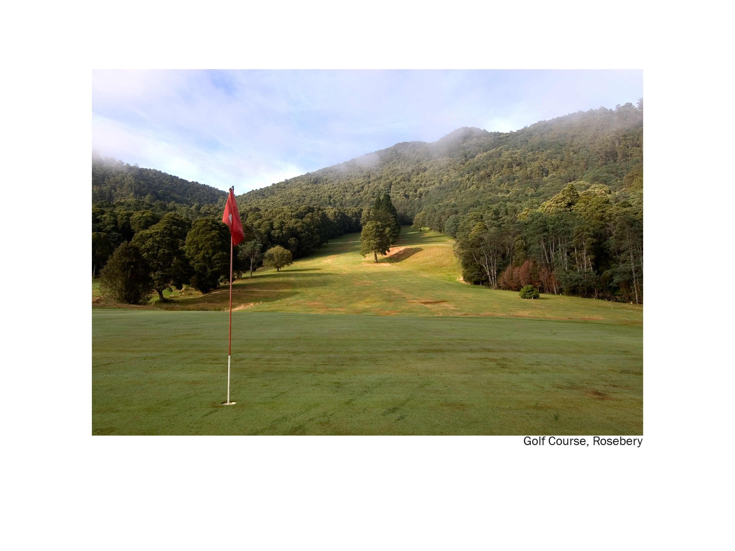 Disappearing TASMANIA - Shannon McDonell